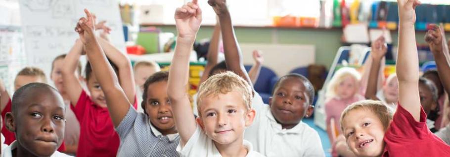 Linton Mead Primary School - Profile (2024)