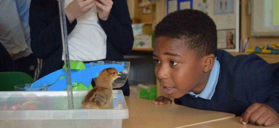 St Thomas' CofE Primary School in Kensington and Chelsea - Profile