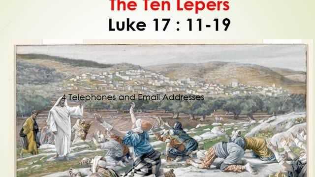 Bevington Primary School - Profile (2024)