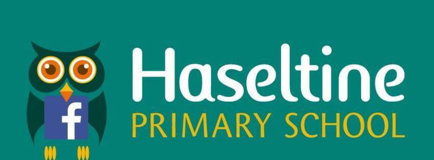 Haseltine Primary School - Profile (2023)