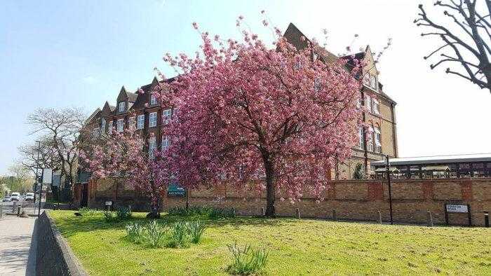 Haseltine Primary School - Profile (2023)