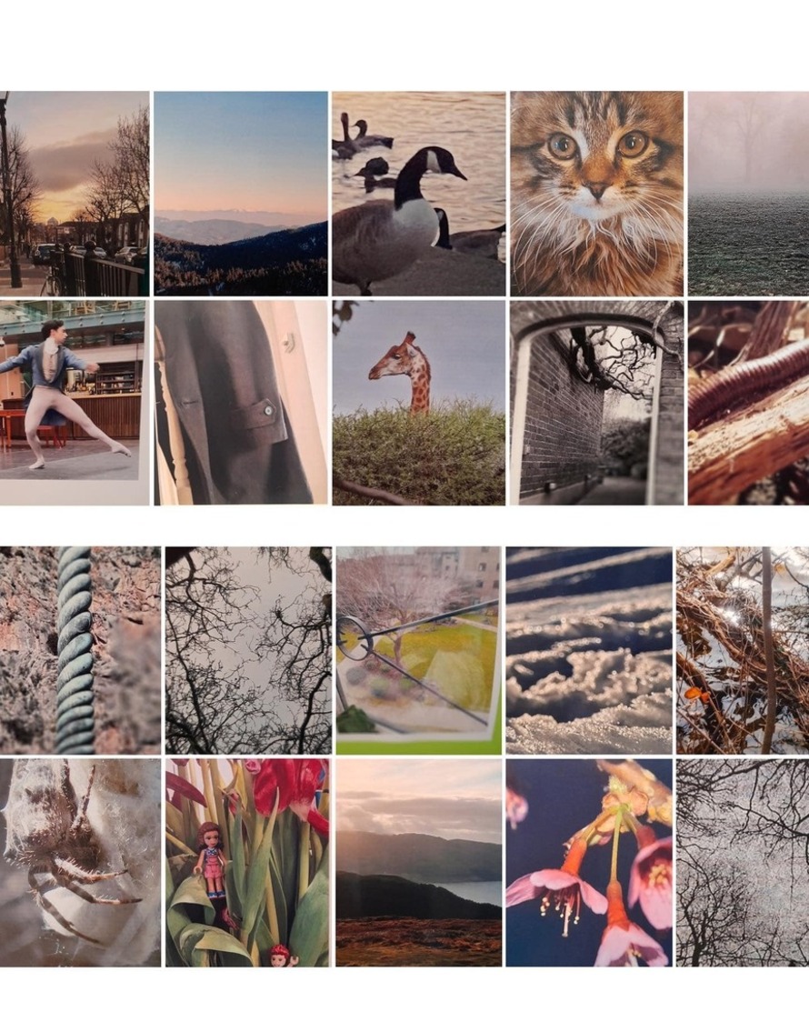 Date Palm Primary School - Profile (2024)