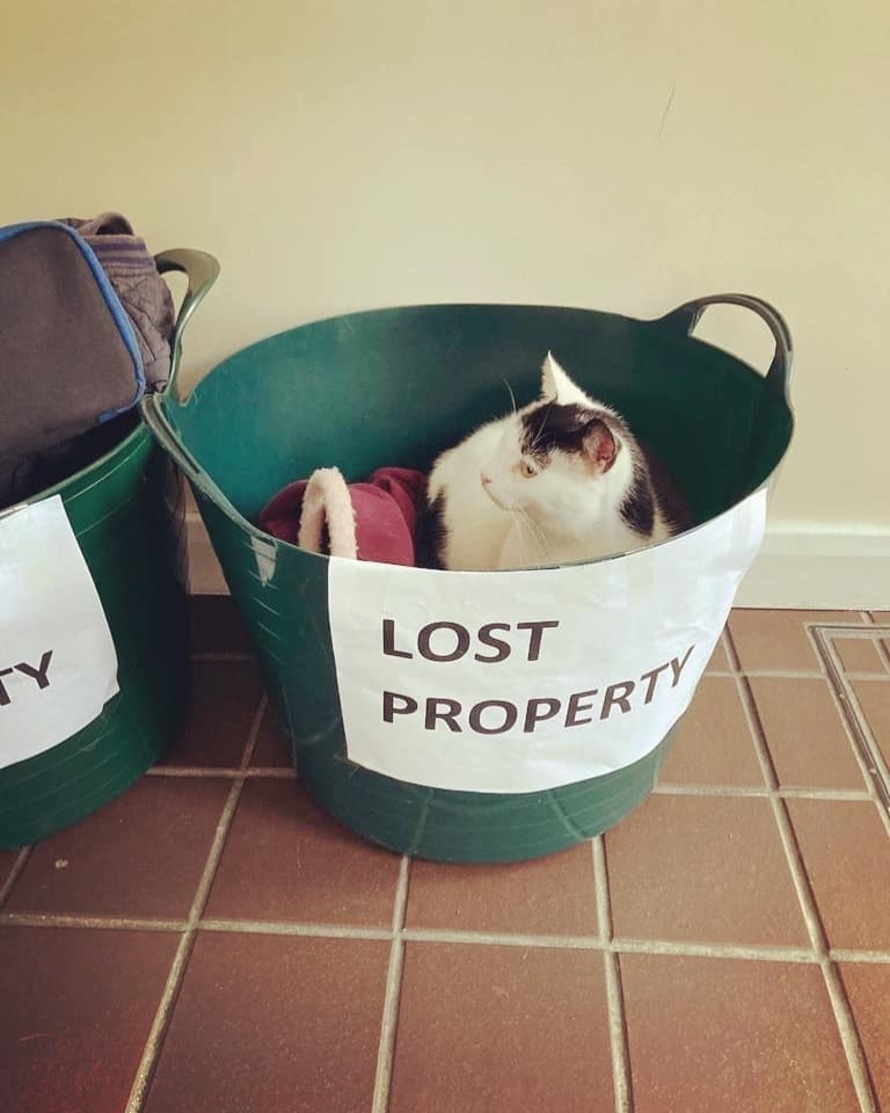 Swaffield Primary School - Profile (2023)