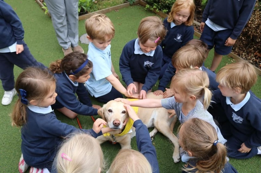 Finton House School - Profile (2023)