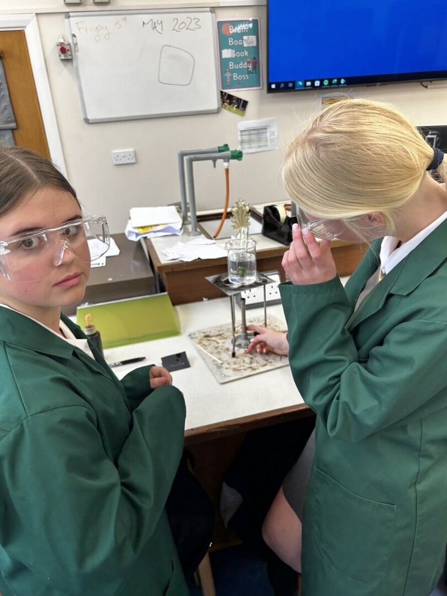 Eltham College - Profile (2023)