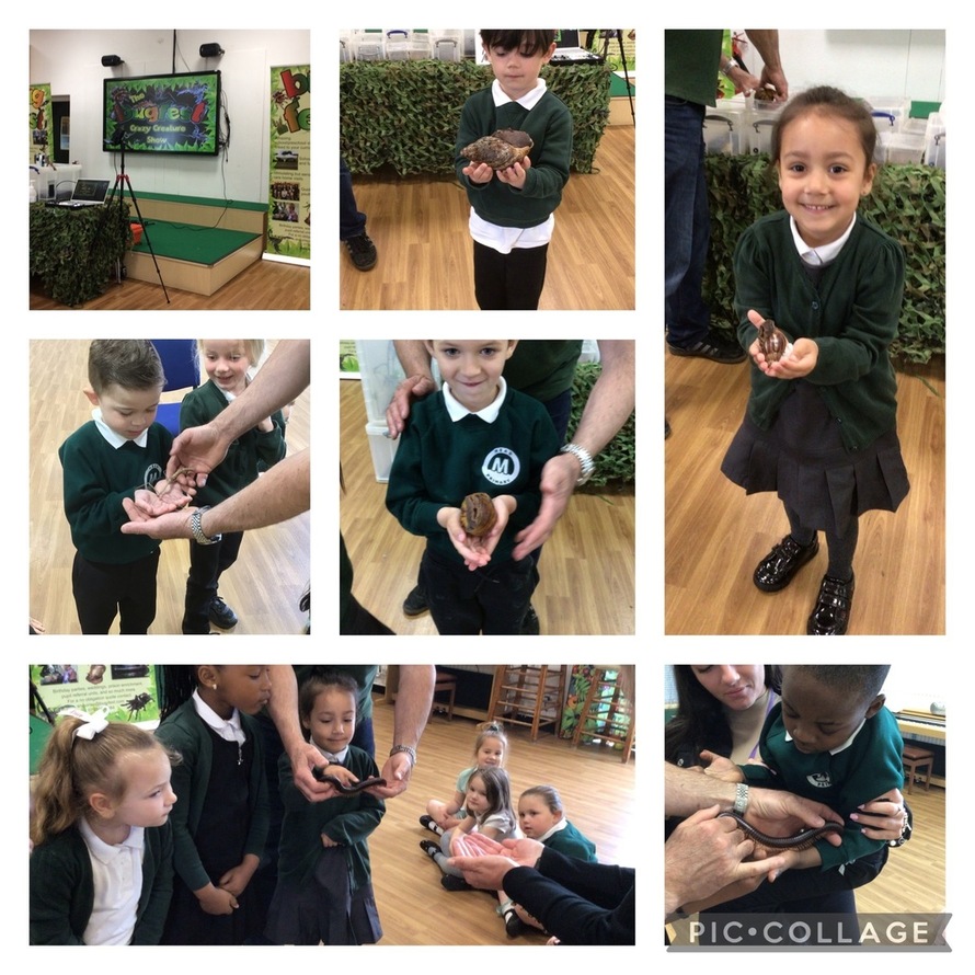 Mead Primary School - Profile (2023)