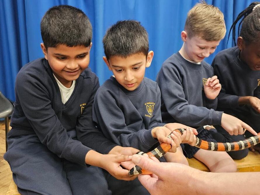 St Bernadette Catholic Primary School - Profile (2024)