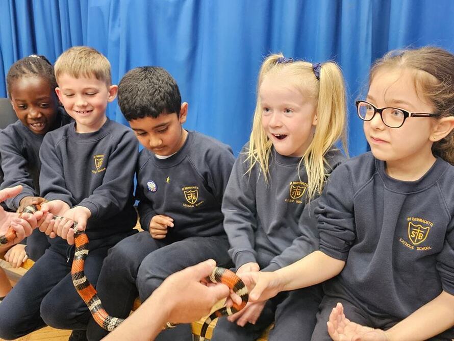 St Bernadette Catholic Primary School - Profile (2024)