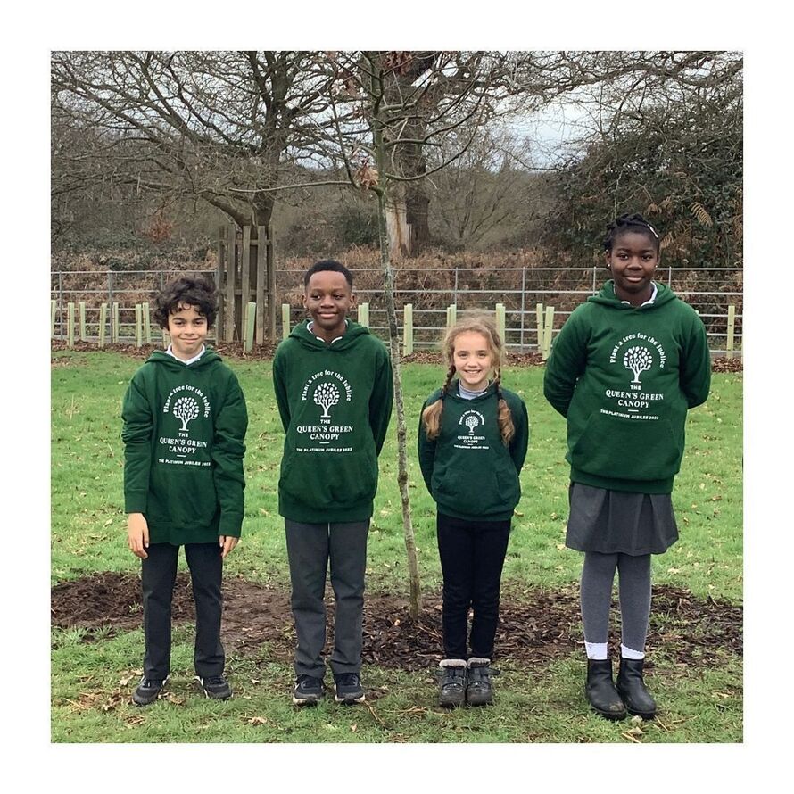 William Torbitt Primary School - Profile (2024)