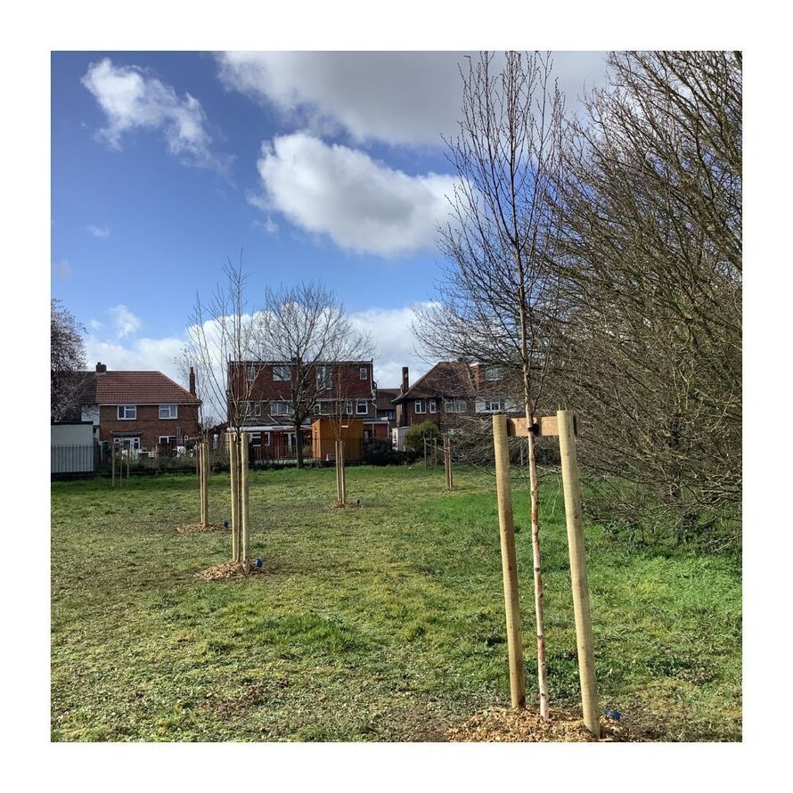 William Torbitt Primary School - Profile (2024)