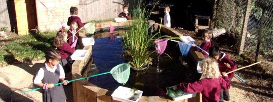 Chase Bridge Primary School - Profile (2023)