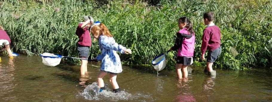 Chase Bridge Primary School - Profile (2023)