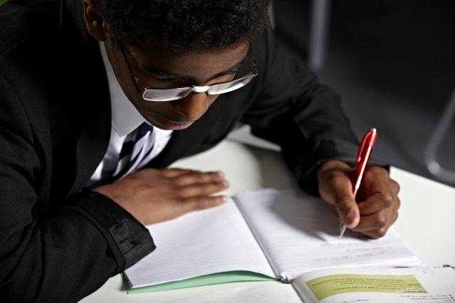 Holte School - Profile (2024)