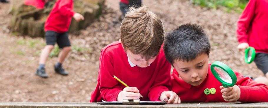 Stivichall Primary School - Profile (2023)