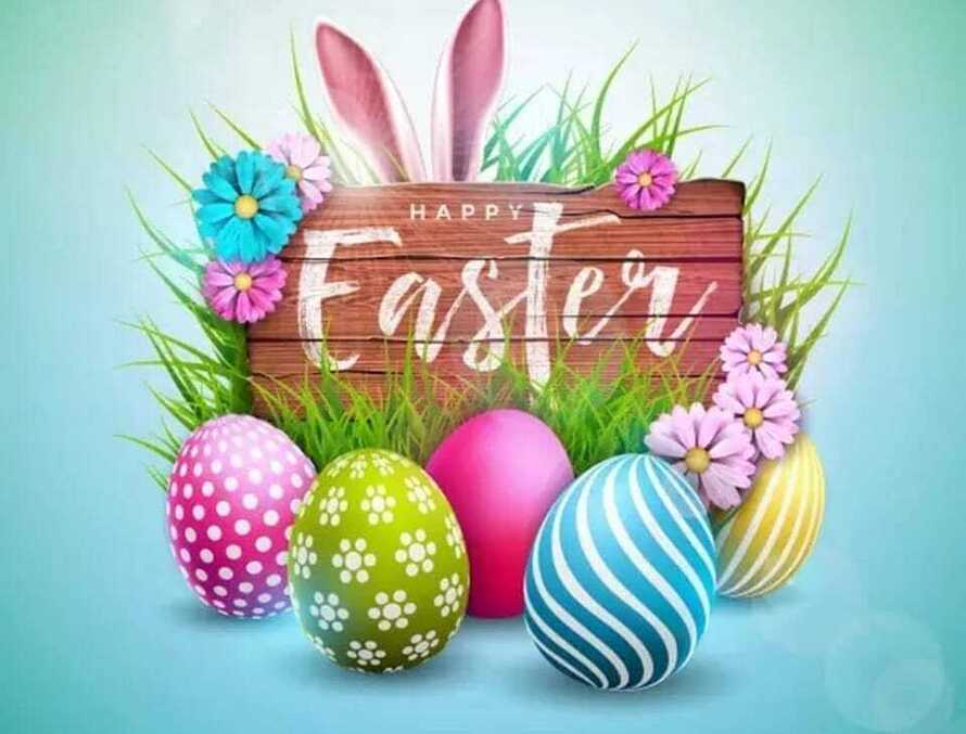 Brook Primary School - Profile (2023)