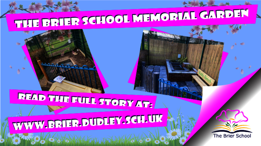 The Brier School - Profile (2023)