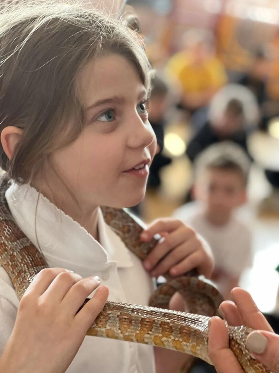 Old Park Primary School in Sandwell - Profile (2023)