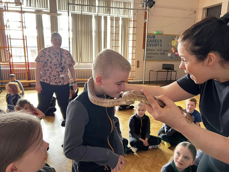 Old Park Primary School in Sandwell - Profile (2023)