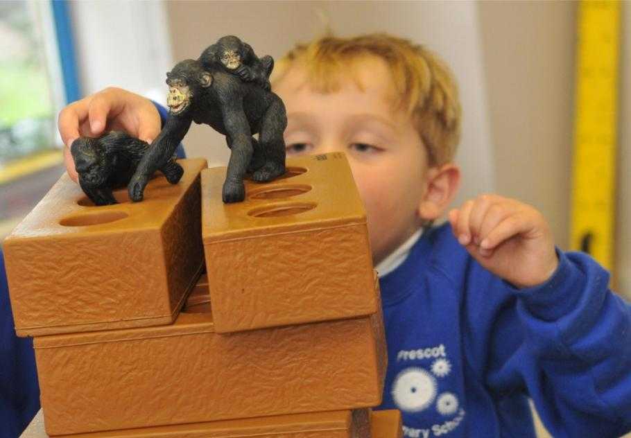 Prescot Primary School - Profile (2023)