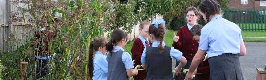 St Andrew the Apostle Catholic Primary School - Profile (2023)