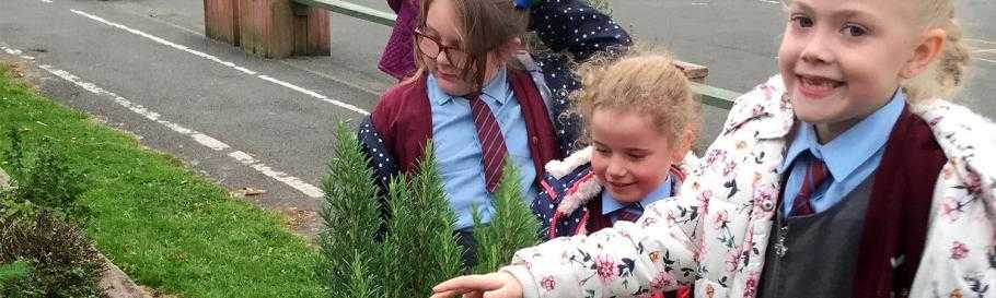 St Andrew the Apostle Catholic Primary School - Profile (2023)