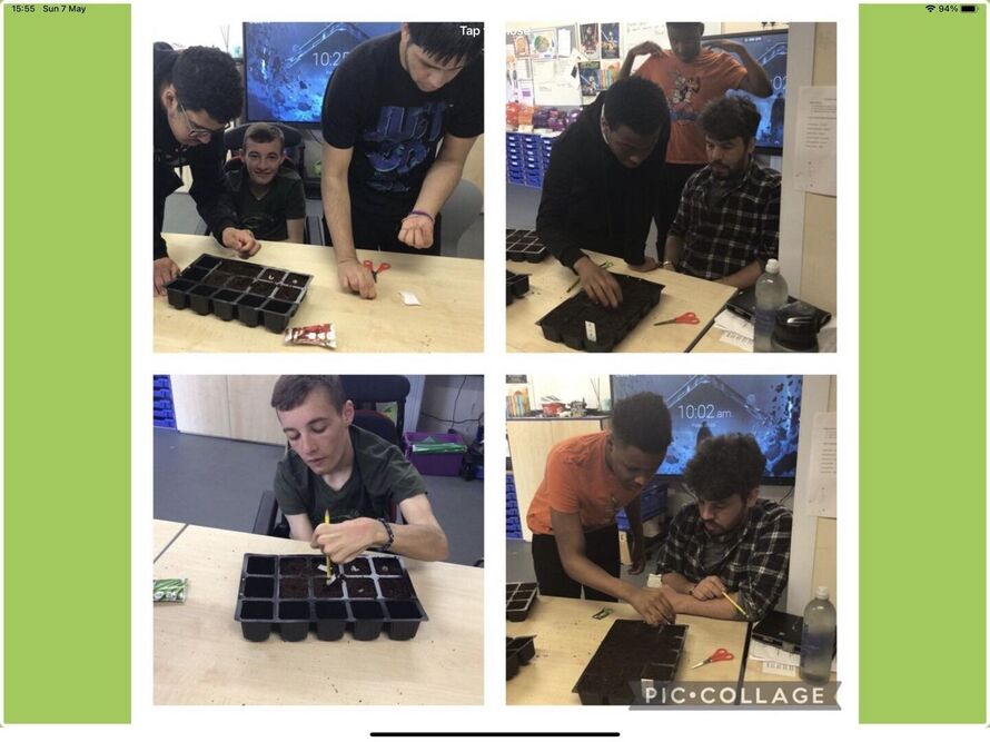 Woolton High School - Profile (2024)