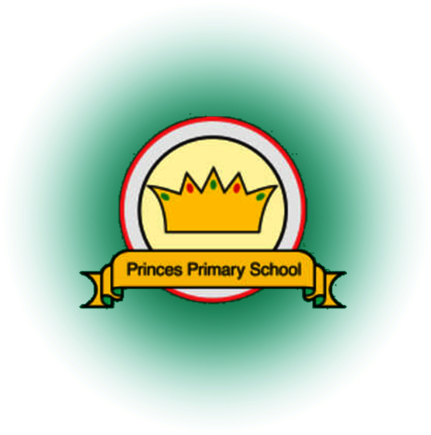 Princes School - Profile (2023)