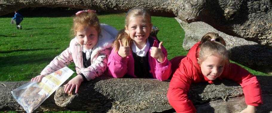 Larkfield Primary School - Profile (2022)