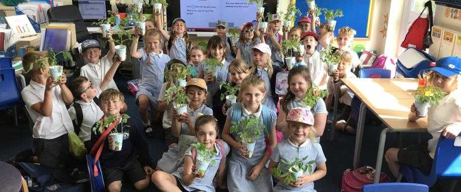 Larkfield Primary School - Profile (2023)