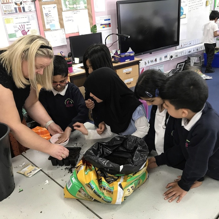 Ladybridge Community Primary School - Profile (2023)