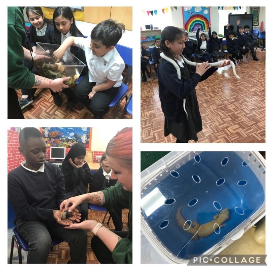 Ladybridge Community Primary School - Profile (2024)