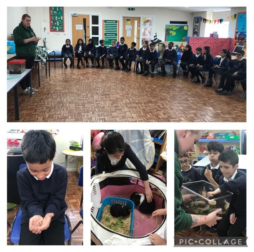 Ladybridge Community Primary School - Profile (2024)