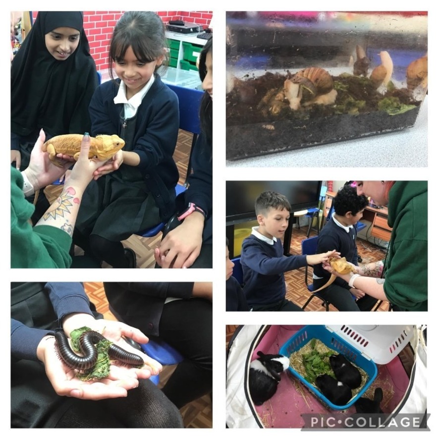 Ladybridge Community Primary School - Profile (2023)