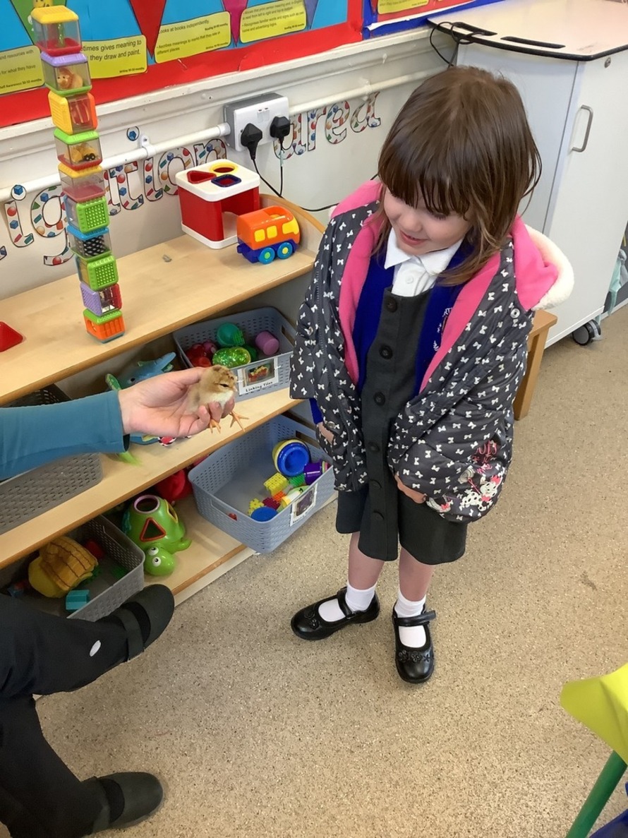 North Walkden Primary School - Profile (2024)