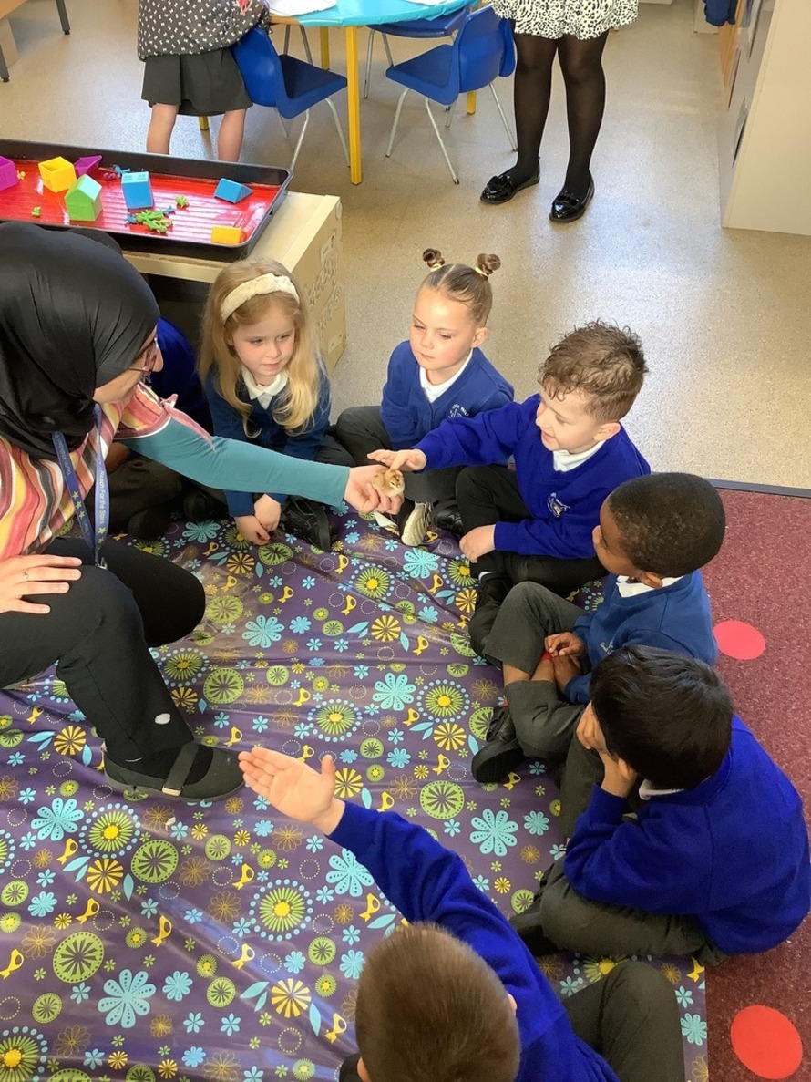 North Walkden Primary School - Profile (2024)