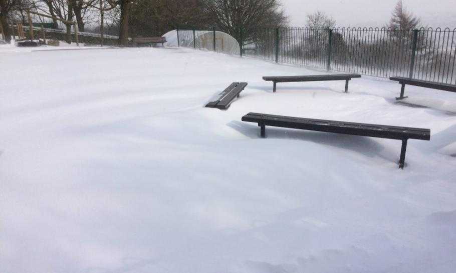 Wild Bank Primary School - Profile (2023)