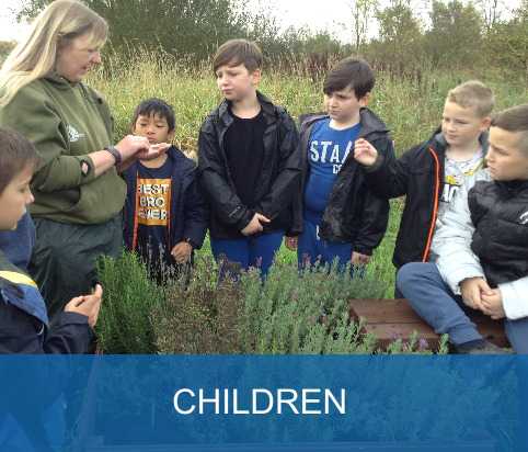 Top 20 Primary Schools in Wigan (2023 Ratings)