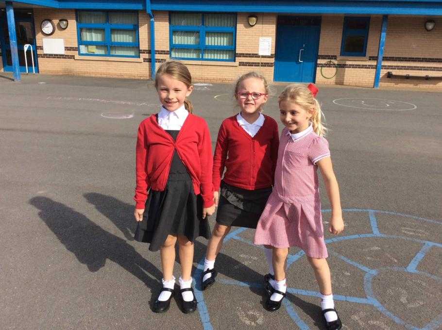 The Ellis Church of England (Voluntary Aided) Primary School - Profile