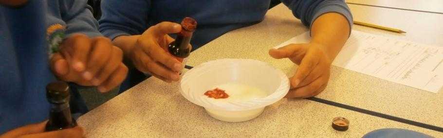 Springfield Primary School in Sheffield - Profile (2023)