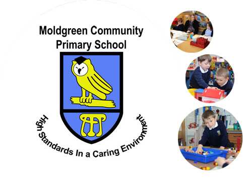Moldgreen Community Primary School - Profile (2023)