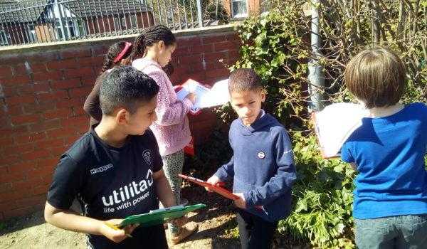 Spring Bank Primary School - Profile (2023)