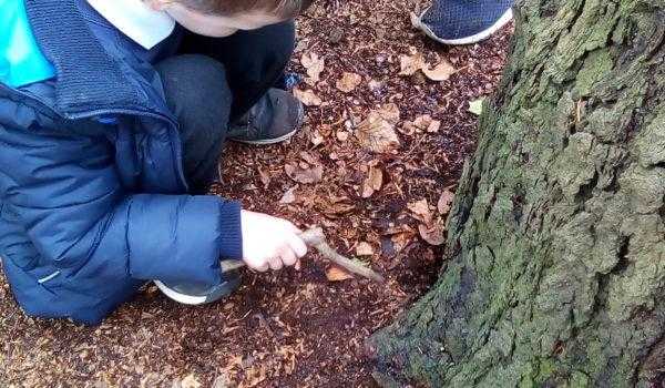 Spring Bank Primary School - Profile (2023)