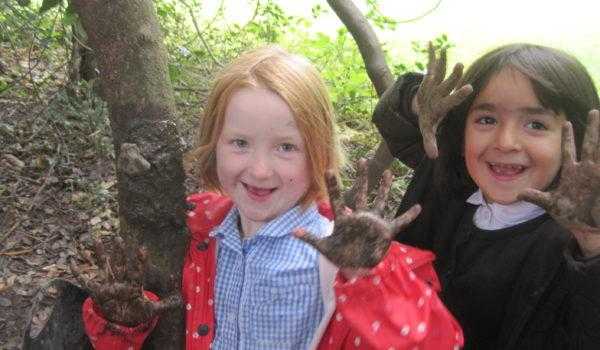 Spring Bank Primary School - Profile (2023)