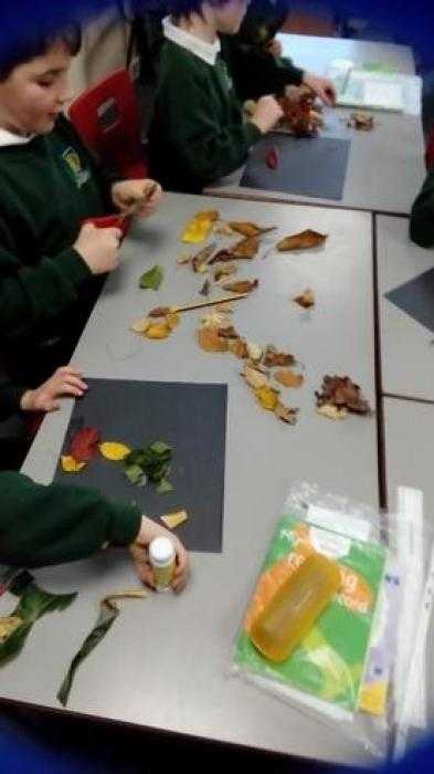 Pool-in-Wharfedale Church of England Voluntary Controlled Primary ...