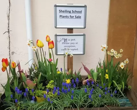 Top 5 Secondary Schools in Forest of Dean (2024 Ratings)