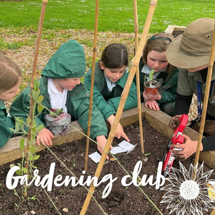 The Downs School in Wraxall and Failand - Profile (2023)