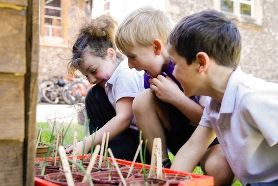 Pangbourne Primary School - Profile (2024)