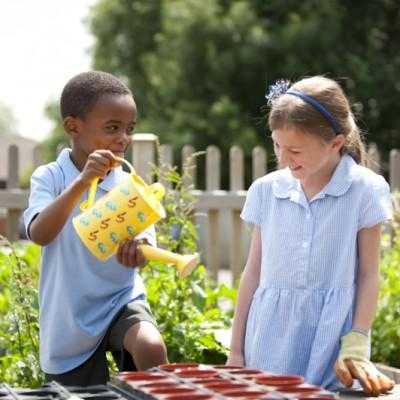 Warfield Church of England Primary School - Profile (2023)