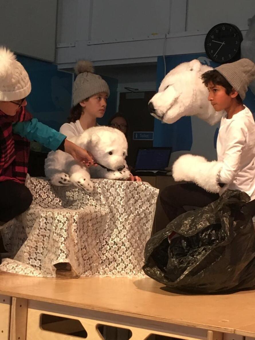 Dolphin School - Profile (2023)