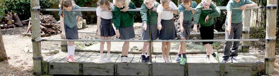 Holmer Green First School and Pre-School - Profile (2024)